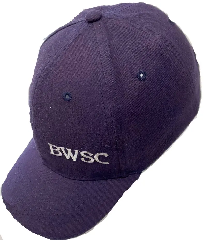 BWSCCP Brisbane Waters Sec College Cap, Navy / Gold | Workwear Direct ...